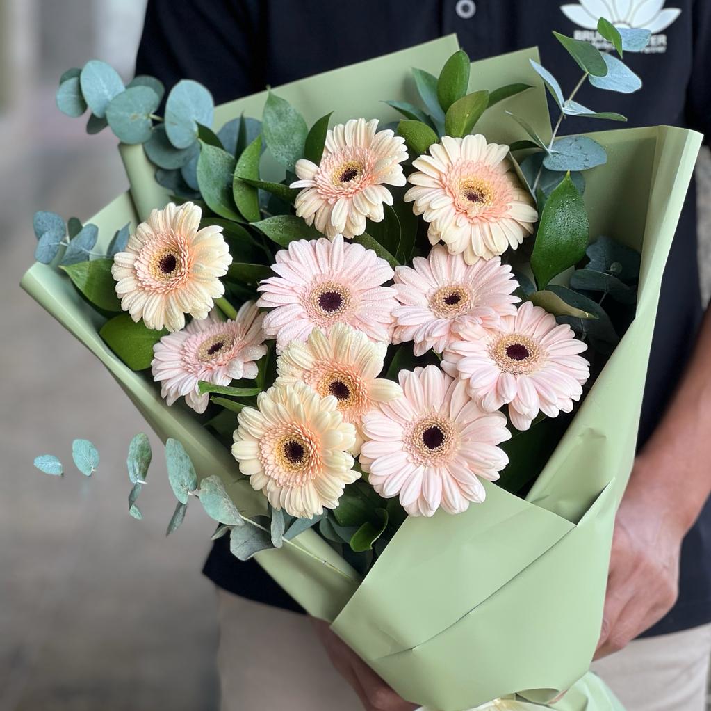 Beauty of Gerbera – Brunia Flower